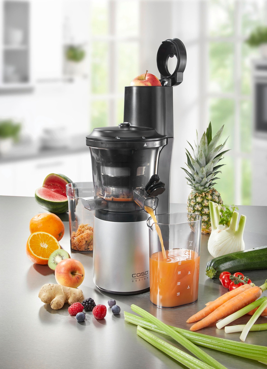 Slow Juicer für bis zu 30% höhere Saftausbeute - SCHWARZ-SILBER